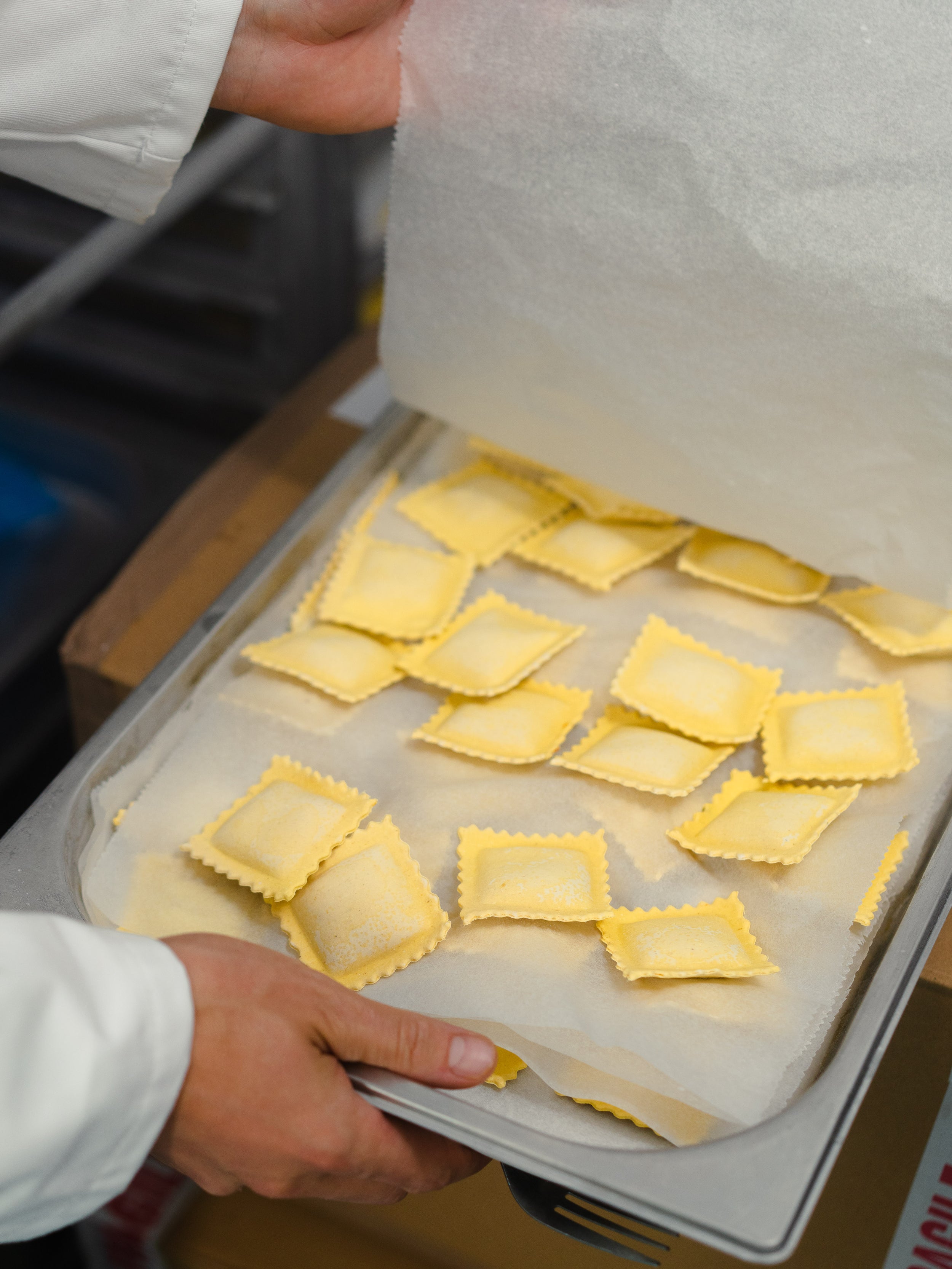 Wholesale – RaviOllie